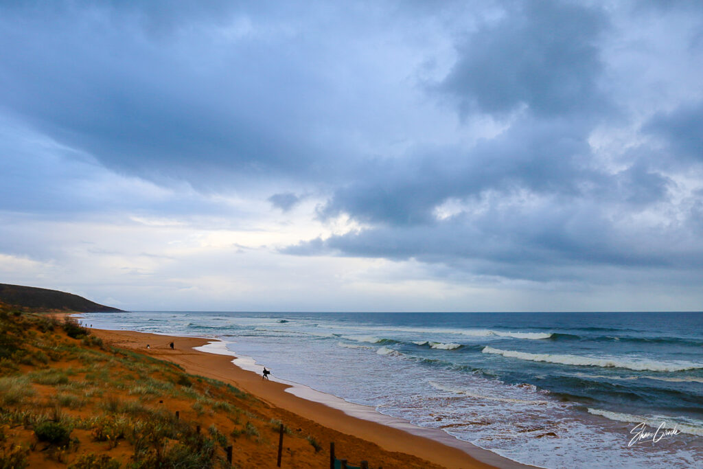 Things to do on the Fleurieu Peninsula - Sandy Hill Forest
